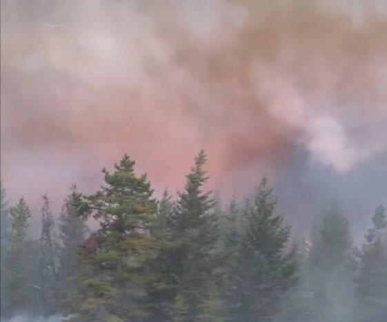 Jasper Wildfire Reaches Town Causing Infrastructure Loss - African ...