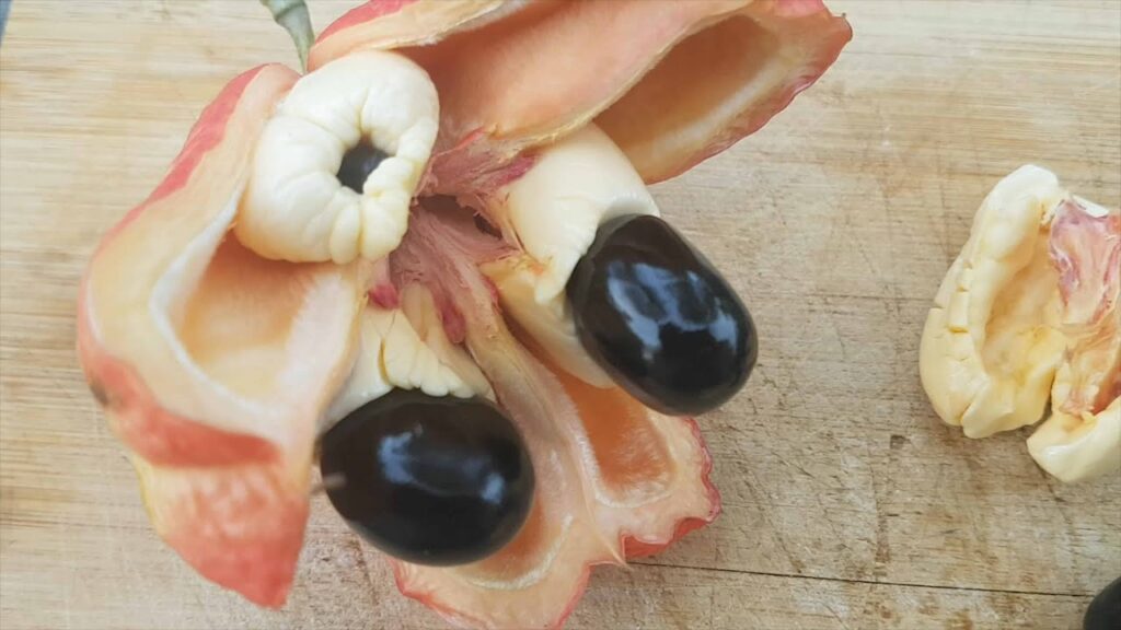 Why Ackee is a Superfood: Nutritional Benefits Explained - African ...